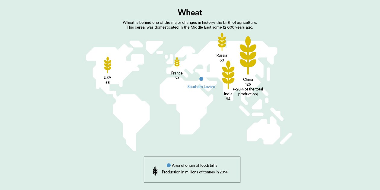 Where does our food come from? | alimentarium